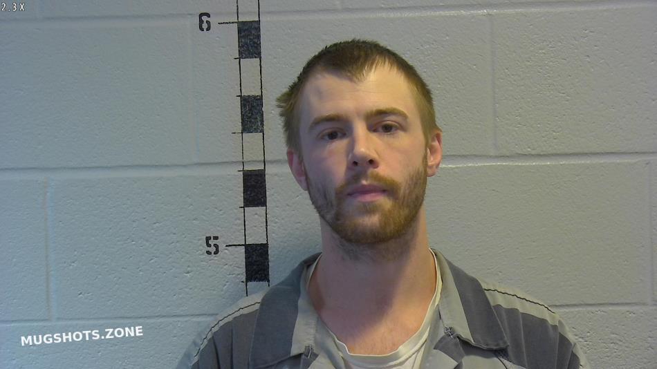 TARRENCE AUSTIN DALE 01/10/2025 - Shelby County Mugshots Zone