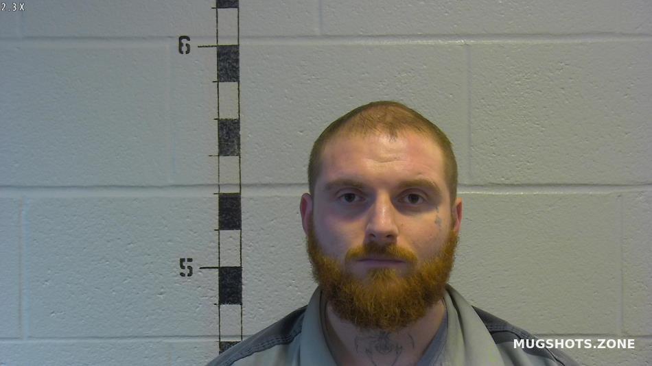 HOLLAND ETHAN HAWK 01/13/2025 - Shelby County Mugshots Zone