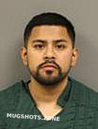 CASTILLO JOHN BRYAN 02/01/2024 - Shelby County Mugshots Zone