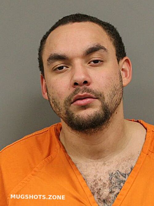 HOELSCHER JONATHAN MICHAEL 12/28/2025 - Shelby County Mugshots Zone