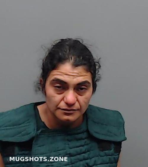 GONZALEZ ILIANA MARISOL 08/28/2023 - Smith County Mugshots Zone