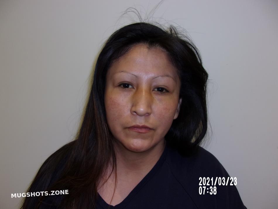 APACHE VANGELA 03/22/2021 - Socorro County Mugshots Zone