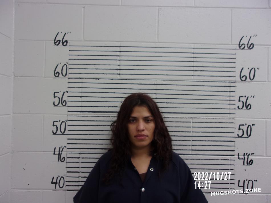 CASTILLO AYLIN 10/27/2022 - Socorro County Mugshots Zone
