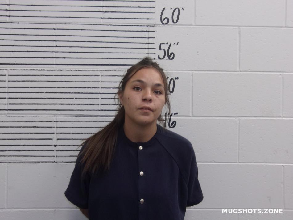 L SELENA CHAVEZ 05/15/2023 - Socorro County Mugshots Zone