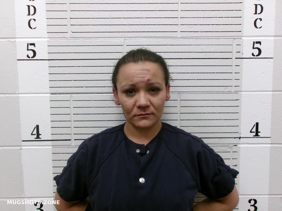 SEDILLO DANIELLE 11/23/2024 - Socorro County Mugshots Zone