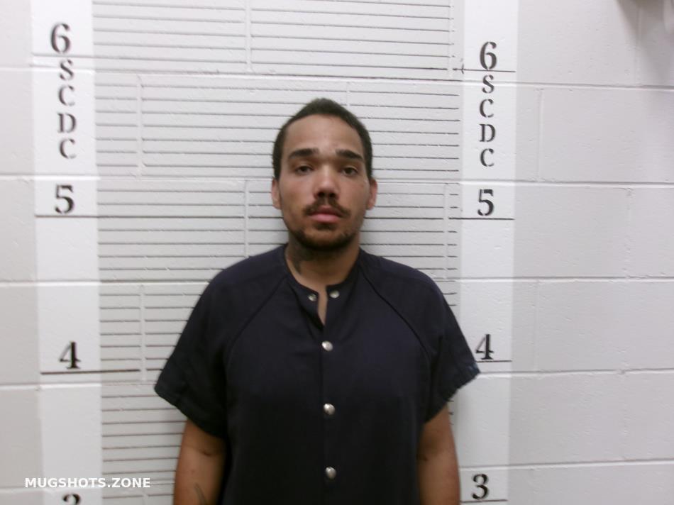 LEWIS DONALD 10/11/2025 - Socorro County Mugshots Zone