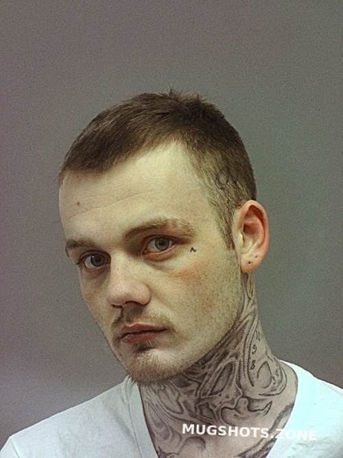 SHEETS AARON MICHAEL 03/29/2021 - Southeastern Regional Jail Mugshots Zone