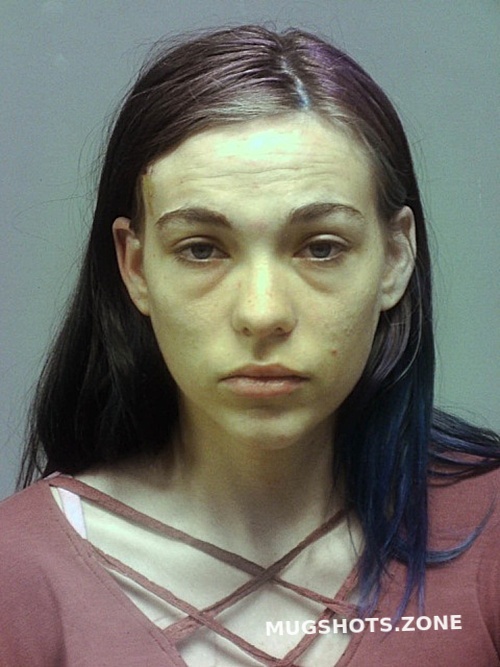WOLF NATASHA DAWN 06/11/2023 - Southeastern Regional Jail Mugshots Zone