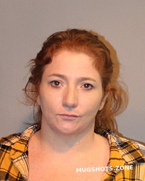 STIDHAM REBECCA MICHELLE 02/15/2022 - Southwest Regional Jail Mugshots Zone