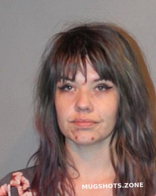 Cheek Courtney Jenee 02 23 2023 Southwest Regional Jail Mugshots Zone