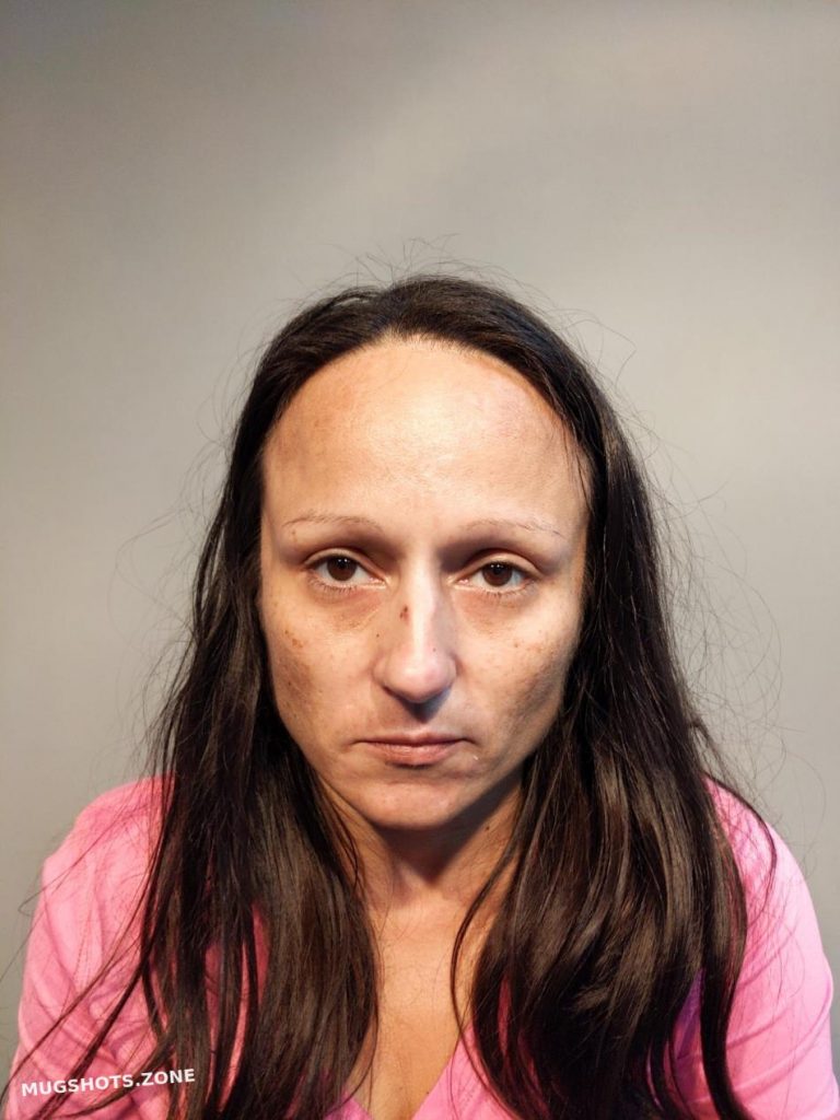 GALVAN SONYA RENEE 04/07/2023 - Southwest Regional Jail Mugshots Zone