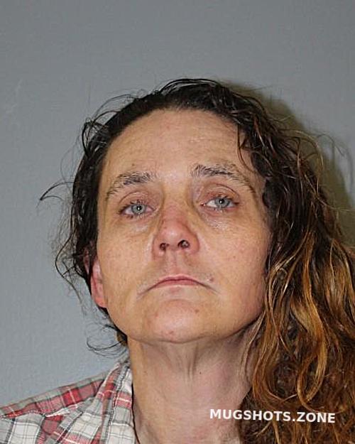 YORK LISA ANN 04/18/2023 - Southwest Regional Jail Mugshots Zone