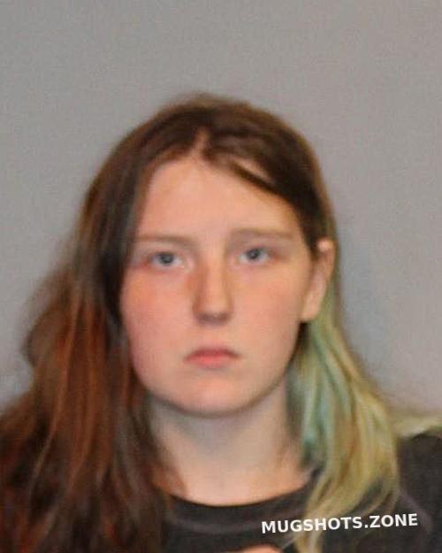 DAVIDSON HANNAH DANIELLE 07/29/2024 - Southwest Regional Jail Mugshots Zone