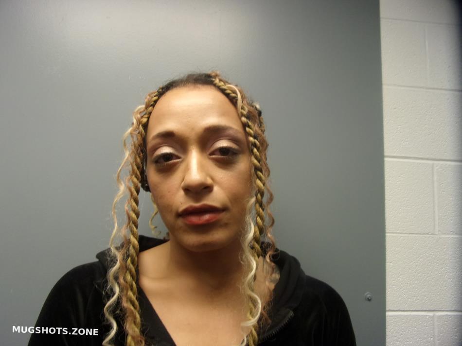 GIBSON KIERRA NICOLE 11/01/2024 - Southwest Regional Jail Mugshots Zone