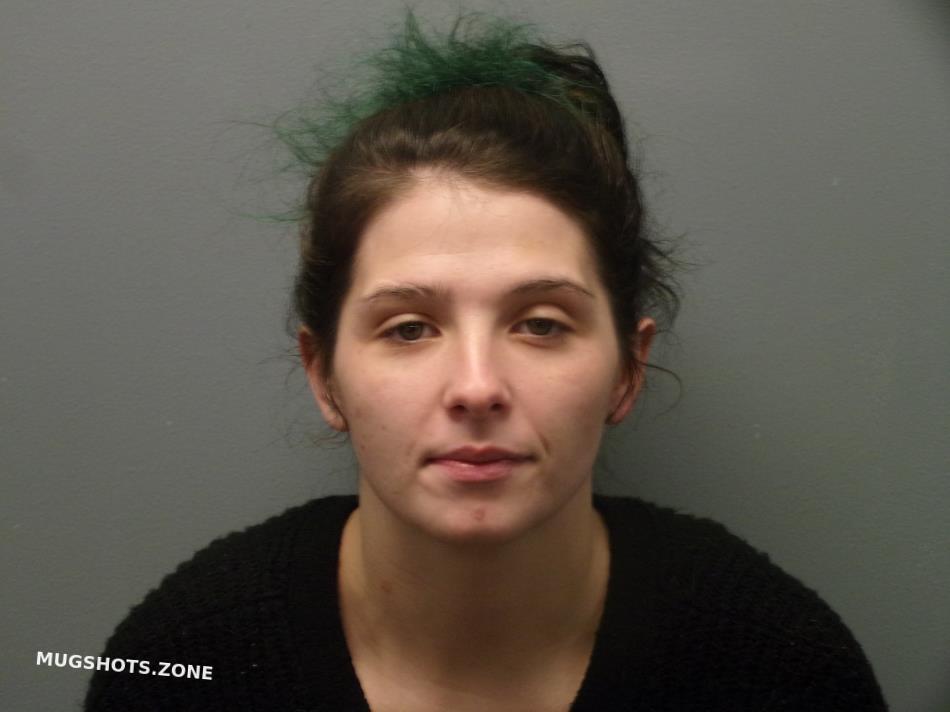 DAVIS HEATHER CHEYANNE 11/22/2024 - Southwest Regional Jail Mugshots Zone