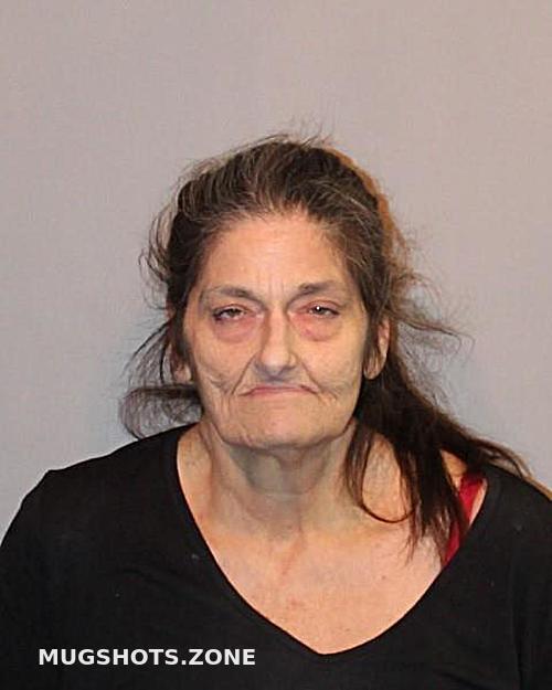 ASKINAZI ILENE BETH 03/25/2025 - Southwest Regional Jail Mugshots Zone