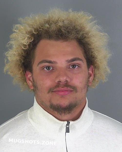 TYLER ALEXANDER REYNOLDS 01/09/2021 - Spartanburg County Mugshots Zone