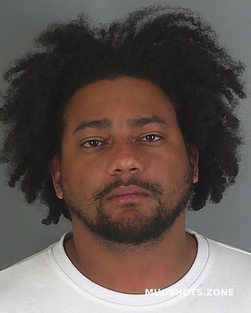 TYLER ALEXANDER FERNANDEZ 01/11/2021 - Spartanburg County Mugshots Zone