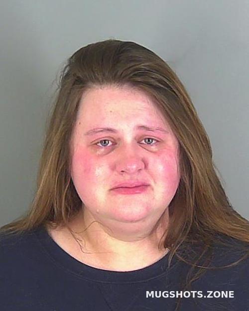 MEREDITH MARIE EDGINS 01/19/2021 - Spartanburg County Mugshots Zone
