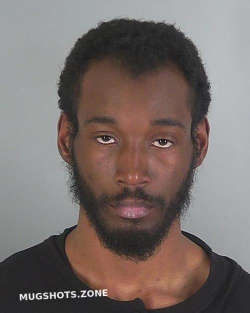 RON JOHNSON 02/17/2021 - Spartanburg County Mugshots Zone