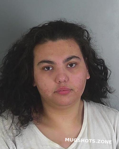 AMBERLY ANN SANTIAGO 03/11/2021 - Spartanburg County Mugshots Zone