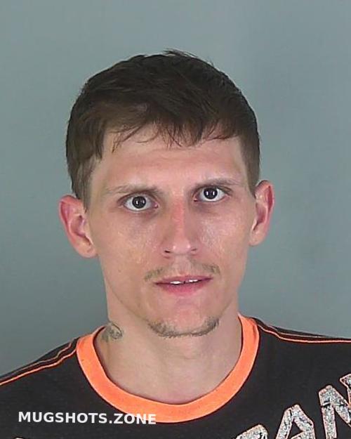 DILLON LEE DILL 03/30/2021 - Spartanburg County Mugshots Zone
