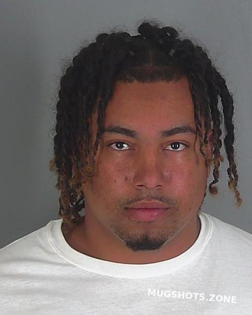 RONALD SANSBURY 11/24/2021 - Spartanburg County Mugshots Zone