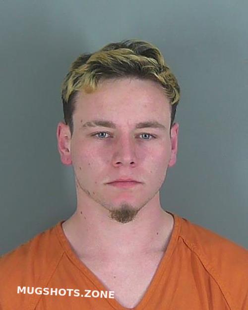 RONALD LUKE DAVIS 03/14/2022 - Spartanburg County Mugshots Zone