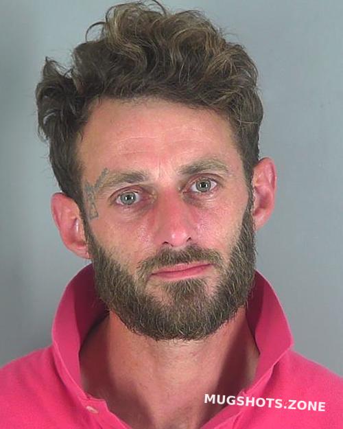 MICHAEL ROCCO FANELLE 04/02/2022 - Spartanburg County Mugshots Zone