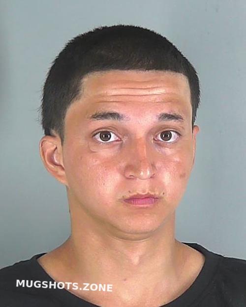 CHRISTOPHER LEE MCKEE 04/07/2022 - Spartanburg County Mugshots Zone