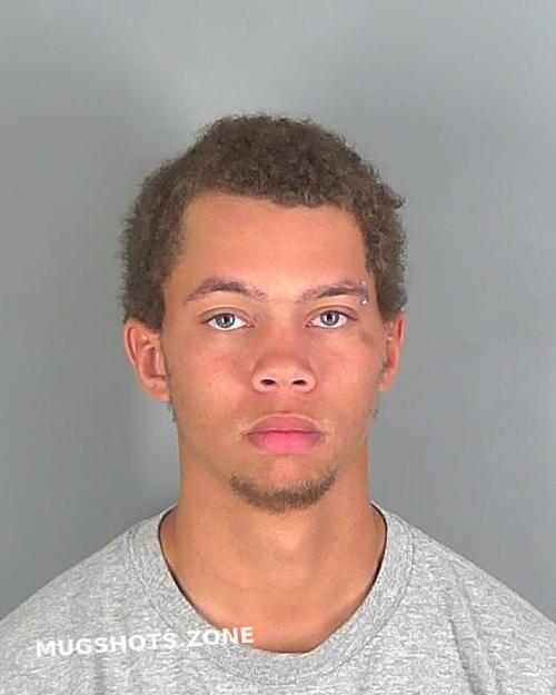 DEVIN MICHAEL WAYNE PERRY 10/13/2022 - Spartanburg County Mugshots Zone