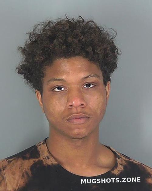 CHADEN JAMES PROCTOR 02/04/2023 - Spartanburg County Mugshots Zone