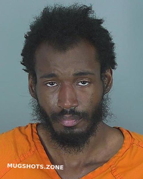 RON JOHNSON 08/01/2024 - Spartanburg County Mugshots Zone