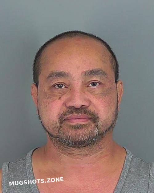 PHANN TROY VANN 08/08/2024 - Spartanburg County Mugshots Zone