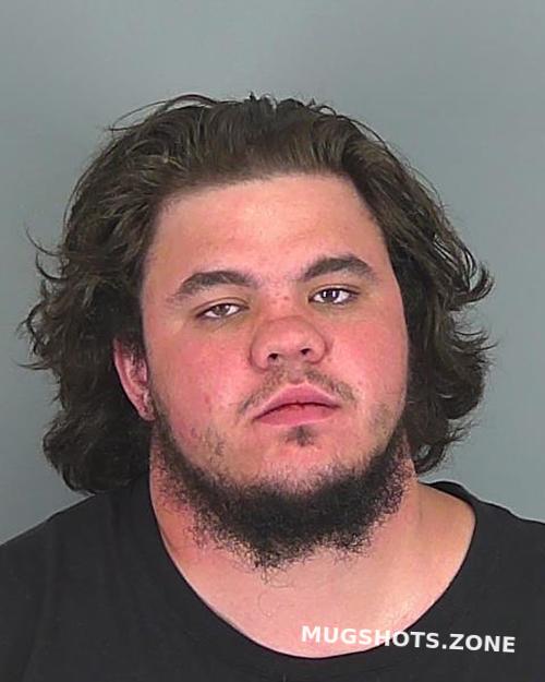 AUSTIN RYAN SHEPPARD 08/11/2024 - Spartanburg County Mugshots Zone