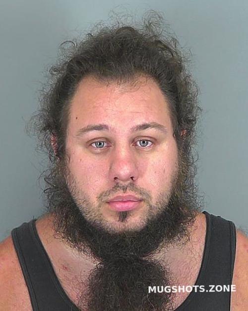 CHRISTIAN COLT FREEMAN 08/15/2024 - Spartanburg County Mugshots Zone