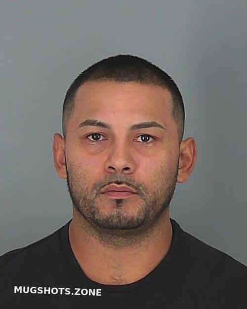SERGIO TORRES-CASAS 10/08/2024 - Spartanburg County Mugshots Zone