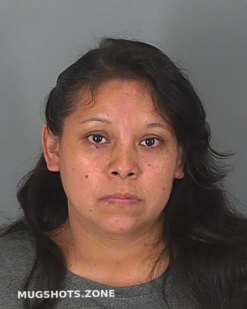 CELIA RESENDIZ-CABRERA 10/25/2024 - Spartanburg County Mugshots Zone
