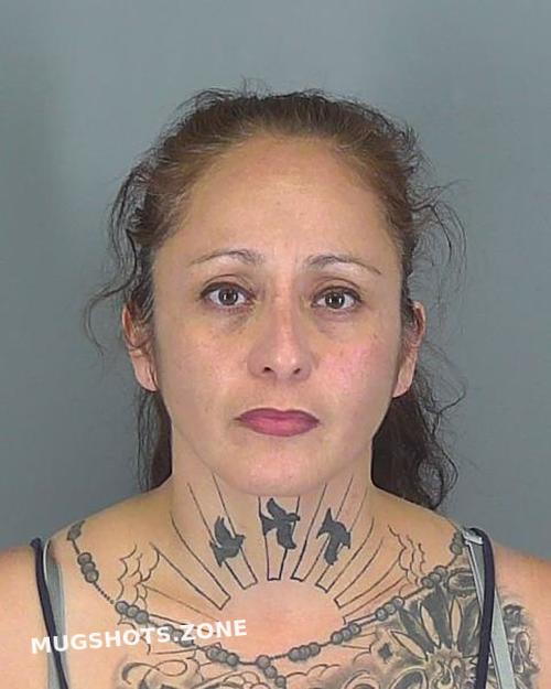 MARIA INES DELAROSA 10/27/2024 - Spartanburg County Mugshots Zone