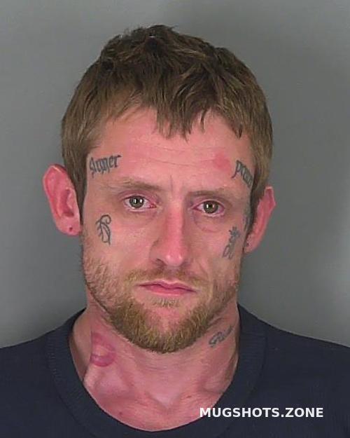 DILLON SHAWN WALLACE 11/06/2024 - Spartanburg County Mugshots Zone