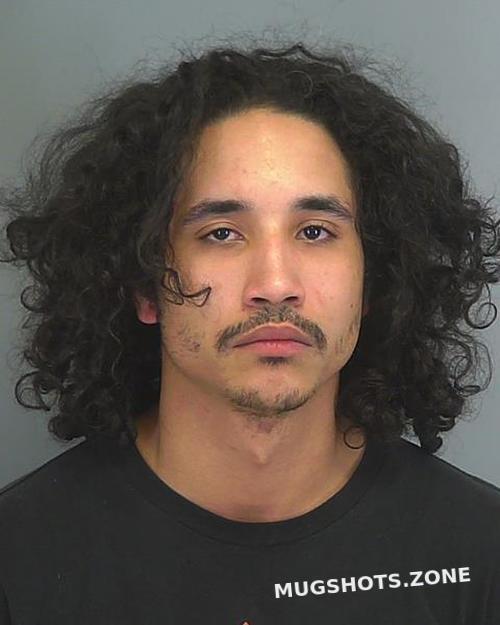 BRETT THOMAS TOWNSON 11/11/2024 - Spartanburg County Mugshots Zone