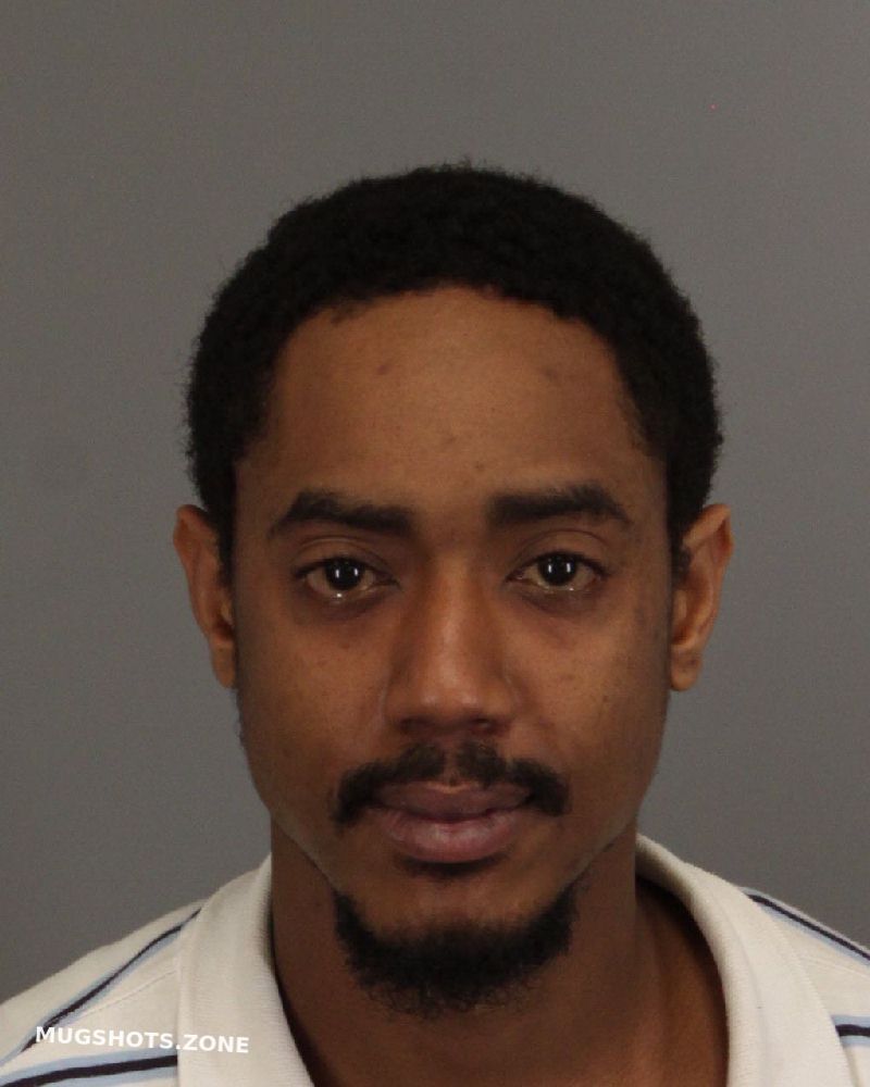 JAMES MICHAEL ARTISON 11/13/2024 - Spartanburg County Mugshots Zone