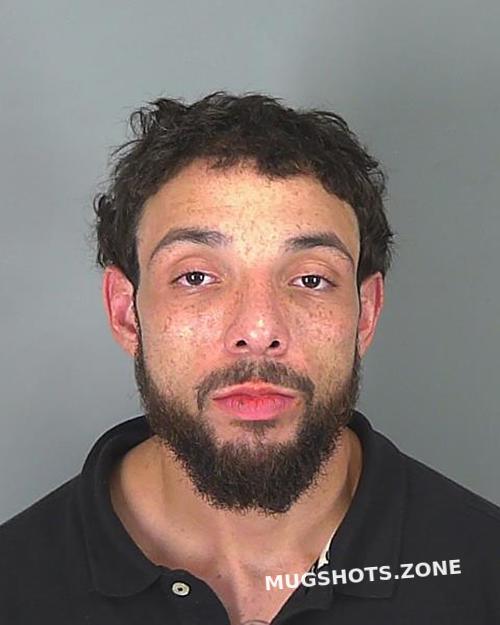 BRANDON RUSSELL ELLIOTT 11/14/2024 - Spartanburg County Mugshots Zone