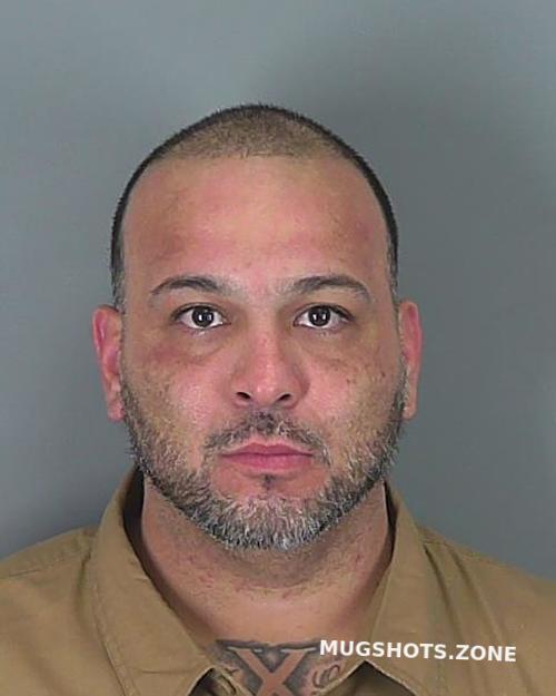 MARIO ALBERTO SALINAS 11/20/2024 - Spartanburg County Mugshots Zone