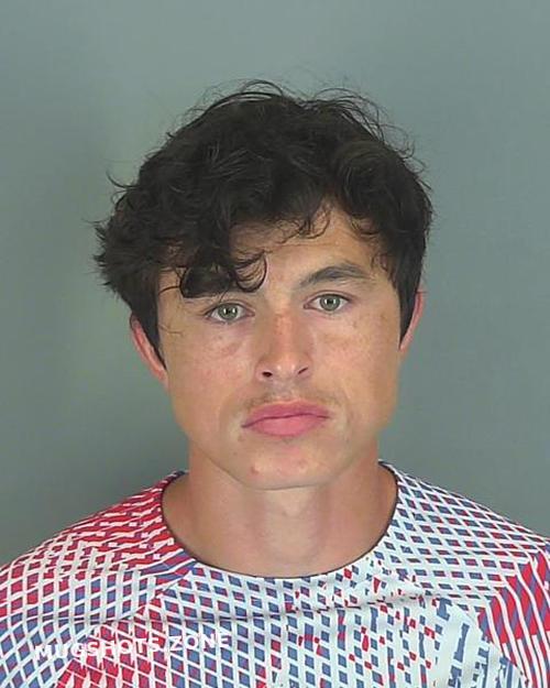 EDUARDO FELIPE MACEDO LEWIS 11/27/2024 - Spartanburg County Mugshots Zone