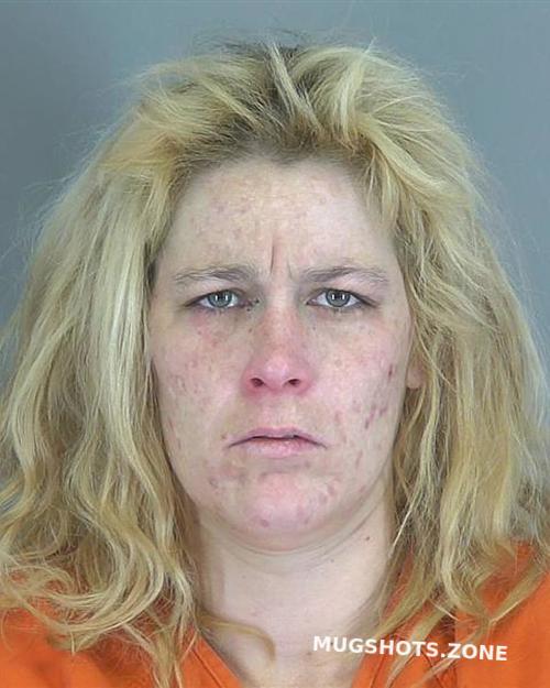 ELIZABETH ANN COX 01/04/2025 - Spartanburg County Mugshots Zone