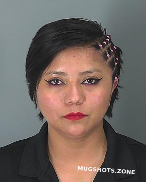 ANA FLORENTINO MODESTO 01/11/2025 - Spartanburg County Mugshots Zone