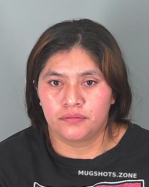 MANUELA PABLO HERNANDEZ 02/19/2025 - Spartanburg County Mugshots Zone