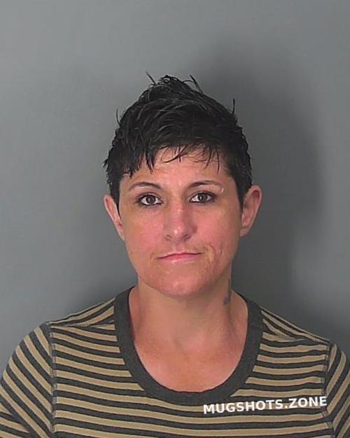 LISA RENEE COLLINS 02/26/2025 - Spartanburg County Mugshots Zone