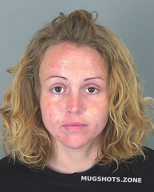 MISTY ELIZABETH COOK 03/17/2025 - Spartanburg County Mugshots Zone